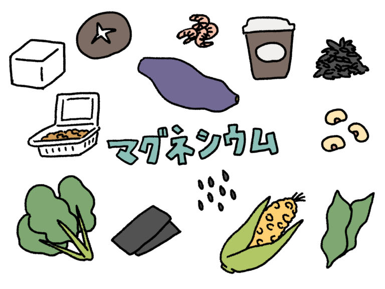 意外なマグネシウム（Mg）の超重要性 – MCATE-エムケート